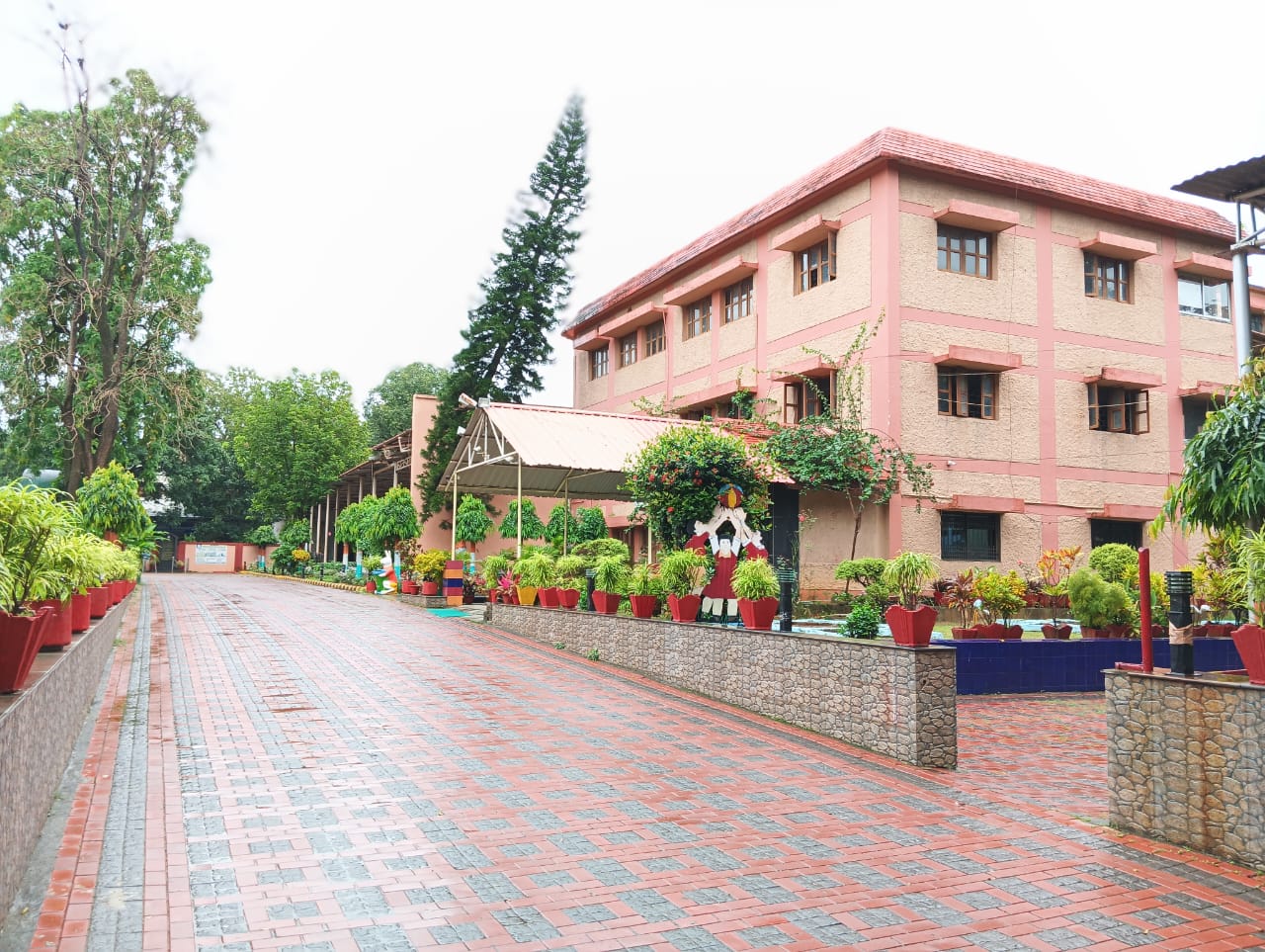 Welcome To DAV PUBLIC SCHOOL, BARIATU